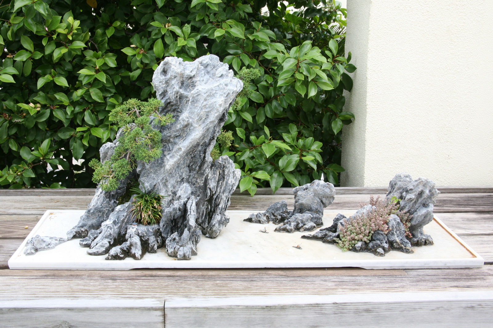 Penjing vs Bonsai: 7 Intriguing Differences