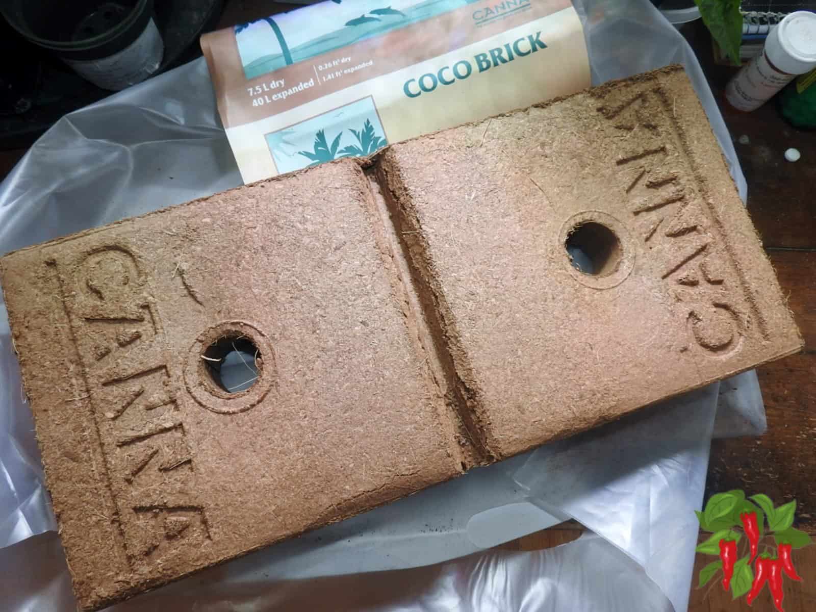 How To Use Coco Coir Bricks: Easy Tips and Tricks