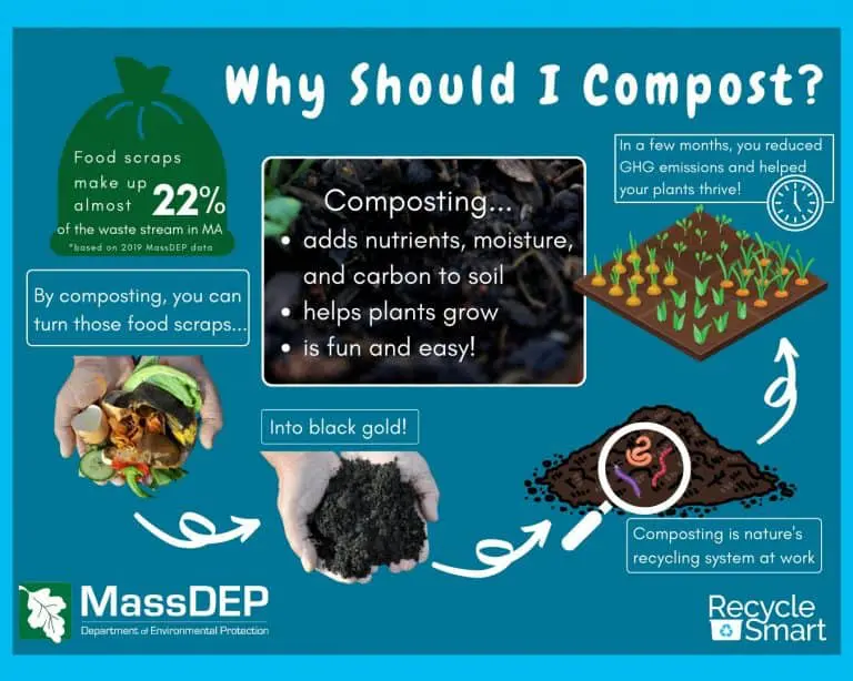 Composting Indoors: Easy Guide for Apartment Gardeners